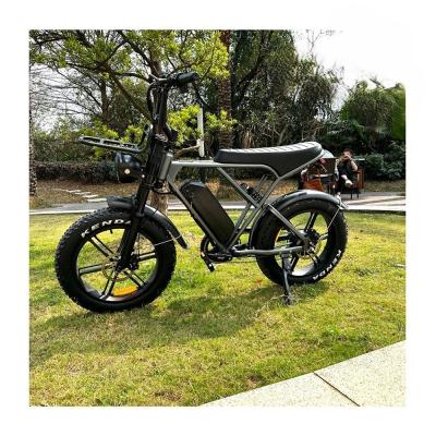 China Off Road Inflatable Tire 20 Inch E Bike with 7 Speed Gears and Pedal Assist Function for sale