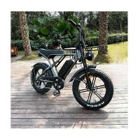 China Off Road Inflatable Tire 20 Inch E Bike with 7 Speed Gears and Pedal Assist Function for sale