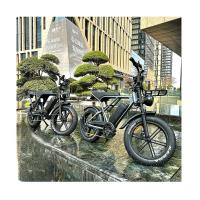 China Off Road Inflatable Tire 20 Inch E Bike with 7 Speed Gears and Pedal Assist Function for sale