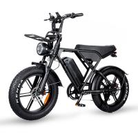 China Off Road Inflatable Tire 20 Inch E Bike with 7 Speed Gears and Pedal Assist Function for sale