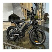 China Off Road Inflatable Tire 20 Inch E Bike with 7 Speed Gears and Pedal Assist Function for sale