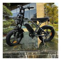 China Off Road Inflatable Tire 20 Inch E Bike with 7 Speed Gears and Pedal Assist Function for sale
