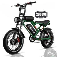 China Hydraulic Brake Iron Frame 2000w Fat Tire Beach Cruiser E-Bike for All-Terrain Riding for sale