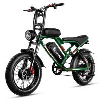China Hydraulic Brake Iron Frame 2000w Fat Tire Beach Cruiser E-Bike for All-Terrain Riding for sale