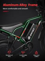China Hydraulic Brake Iron Frame 2000w Fat Tire Beach Cruiser E-Bike for All-Terrain Riding for sale