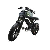 China 250W/750W/1000W Strong Motor Fat Wheel E Bike and Fashionable Style for Comfortable Riding for sale