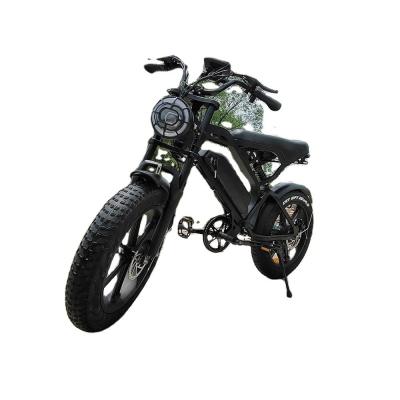 China 250W/750W/1000W Strong Motor Fat Wheel E Bike and Fashionable Style for Comfortable Riding for sale