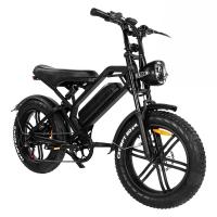 China 250W/750W/1000W Strong Motor Fat Wheel E Bike and Fashionable Style for Comfortable Riding for sale