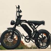 China 250W/750W/1000W Strong Motor Fat Wheel E Bike and Fashionable Style for Comfortable Riding for sale