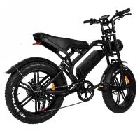 China 250W/750W/1000W Strong Motor Fat Wheel E Bike and Fashionable Style for Comfortable Riding for sale