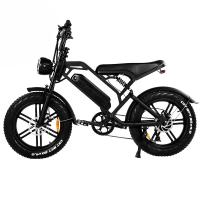 China 250W/750W/1000W Strong Motor Fat Wheel E Bike and Fashionable Style for Comfortable Riding for sale