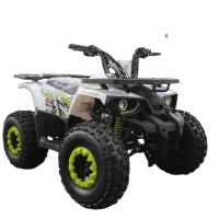 China Automatic 125cc Farm ATV with Chain Drive Transmission System and Gas / Diesel Fuel for sale