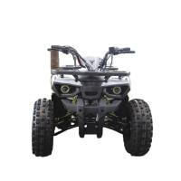 China Automatic 125cc Farm ATV with Chain Drive Transmission System and Gas / Diesel Fuel for sale