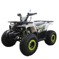 China Automatic 125cc Farm ATV with Chain Drive Transmission System and Gas / Diesel Fuel for sale