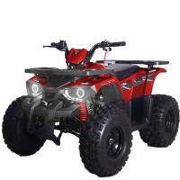 China CE EPA Cruiser 125CC Quad ATV ATV125-10 with Front Brake Drum Brake Displacement 125CC for sale