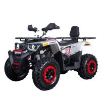 China 1000cc 36V 10inch Rear Disc Brake Chain Drive Automatic ATV Quad Bike Start UTV 4x4 for sale