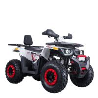 China 1000cc 36V 10inch Rear Disc Brake Chain Drive Automatic ATV Quad Bike Start UTV 4x4 for sale