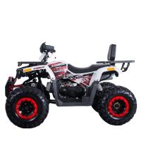 China 1000cc 36V 10inch Rear Disc Brake Chain Drive Automatic ATV Quad Bike Start UTV 4x4 for sale