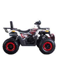 China 1000cc 36V 10inch Rear Disc Brake Chain Drive Automatic ATV Quad Bike Start UTV 4x4 for sale