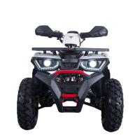 China 1000cc 36V 10inch Rear Disc Brake Chain Drive Automatic ATV Quad Bike Start UTV 4x4 for sale