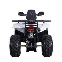 China 1000cc 36V 10inch Rear Disc Brake Chain Drive Automatic ATV Quad Bike Start UTV 4x4 for sale