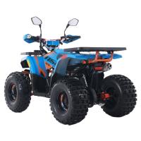 China 125cc Automatic 12V 5AH All-terrain Four-wheel ATV for Adults Maximum Speed 50-75Km/h for sale