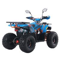 China 125cc Automatic 12V 5AH All-terrain Four-wheel ATV for Adults Maximum Speed 50-75Km/h for sale