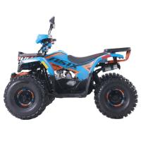 China 125cc Automatic 12V 5AH All-terrain Four-wheel ATV for Adults Maximum Speed 50-75Km/h for sale