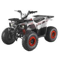 China 4-Stroke Engine Type 125cc ATV 8inch Tire for Chinese Market for sale