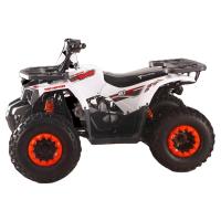 China 4-Stroke Engine Type 125cc ATV 8inch Tire for Chinese Market for sale