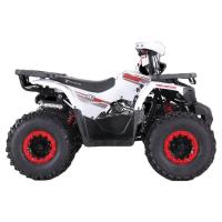 China 4-Stroke Engine Type 125cc ATV 8inch Tire for Chinese Market for sale