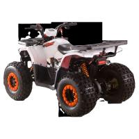 China 4-Stroke Engine Type 125cc ATV 8inch Tire for Chinese Market for sale