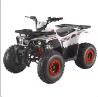 China 4-Stroke Engine Type 125cc ATV 8inch Tire for Chinese Market for sale