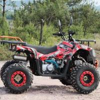 China 4 Stroke Engine Type 125cc All Terrain ATV Motorcycle for Off-Road Adventures for sale