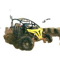 China Unleash Your Offroad Spirit with LNA 200cc Offroad Go Kart and 1980mm Wheelbase for sale