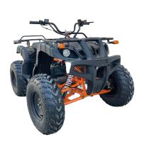 China Max Weight Load 200-300kg with LNA Performance ATV 200cc and 10