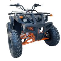China Max Weight Load 200-300kg with LNA Performance ATV 200cc and 10