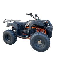 China Max Weight Load 200-300kg with LNA Performance ATV 200cc and 10