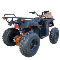 China Max Weight Load 200-300kg with LNA Performance ATV 200cc and 10