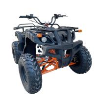 China Max Weight Load 200-300kg with LNA Performance ATV 200cc and 10