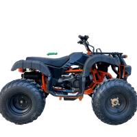 China Max Weight Load 200-300kg with LNA Performance ATV 200cc and 10