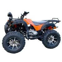 China Affordable 250cc Adult ATV 4 Wheeler Quad with 12