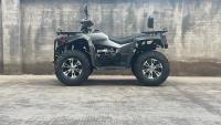China 300CC CVT Engine ATV for Maximum Speed of 50-75Km/h and Payload Capacity of 100-200kg for sale
