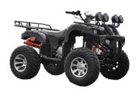 China 240kg Max Load 150cc ATV for Adults 4-Stroke Single Cylinder Air-Cooled Quad Vehicle for sale