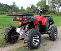 China 200cc ATV 4-Stroke Single Cylinder Air-Cooled Quad for Adults and Grade Ability 15-20° for sale