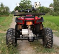 China 200cc ATV 4-Stroke Single Cylinder Air-Cooled Quad for Adults and Grade Ability 15-20° for sale