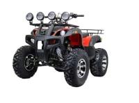China 15-20° Grade Ability ATV 200cc 4-Stroke Single Cylinder Air-Cooled Quad for Adults for sale