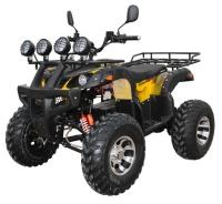 China Experience the Thrill with Our 250cc ATV 4-Stroke Single Cylinder Air-Cooled Engine for sale