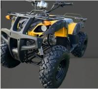 China Experience the Thrill with Our 250cc ATV 4-Stroke Single Cylinder Air-Cooled Engine for sale