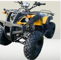 China Experience the Thrill with Our 250cc ATV 4-Stroke Single Cylinder Air-Cooled Engine for sale